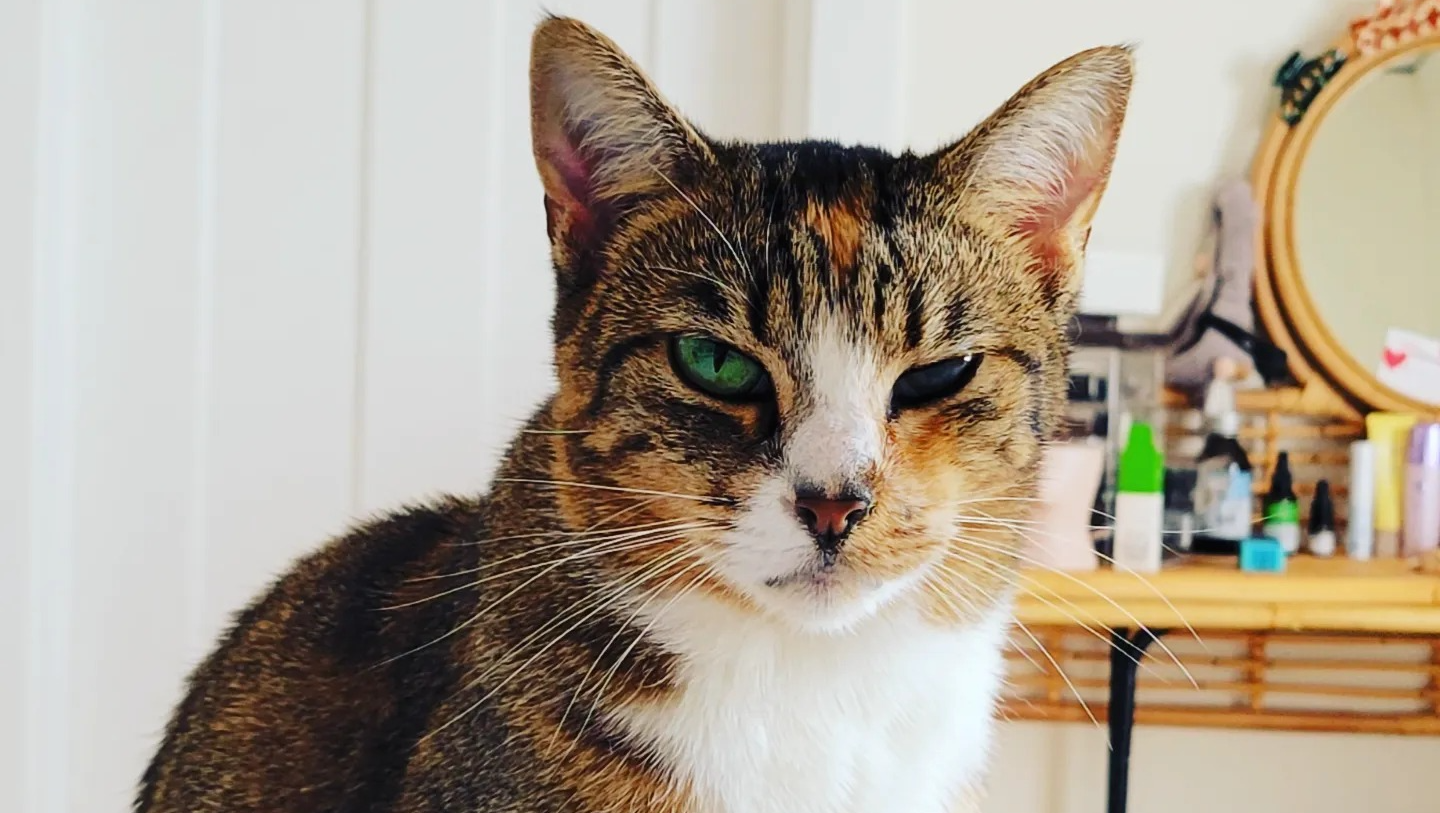 Fundraiser by Jessica G : Help Fetty Wap Fight Lymphoma