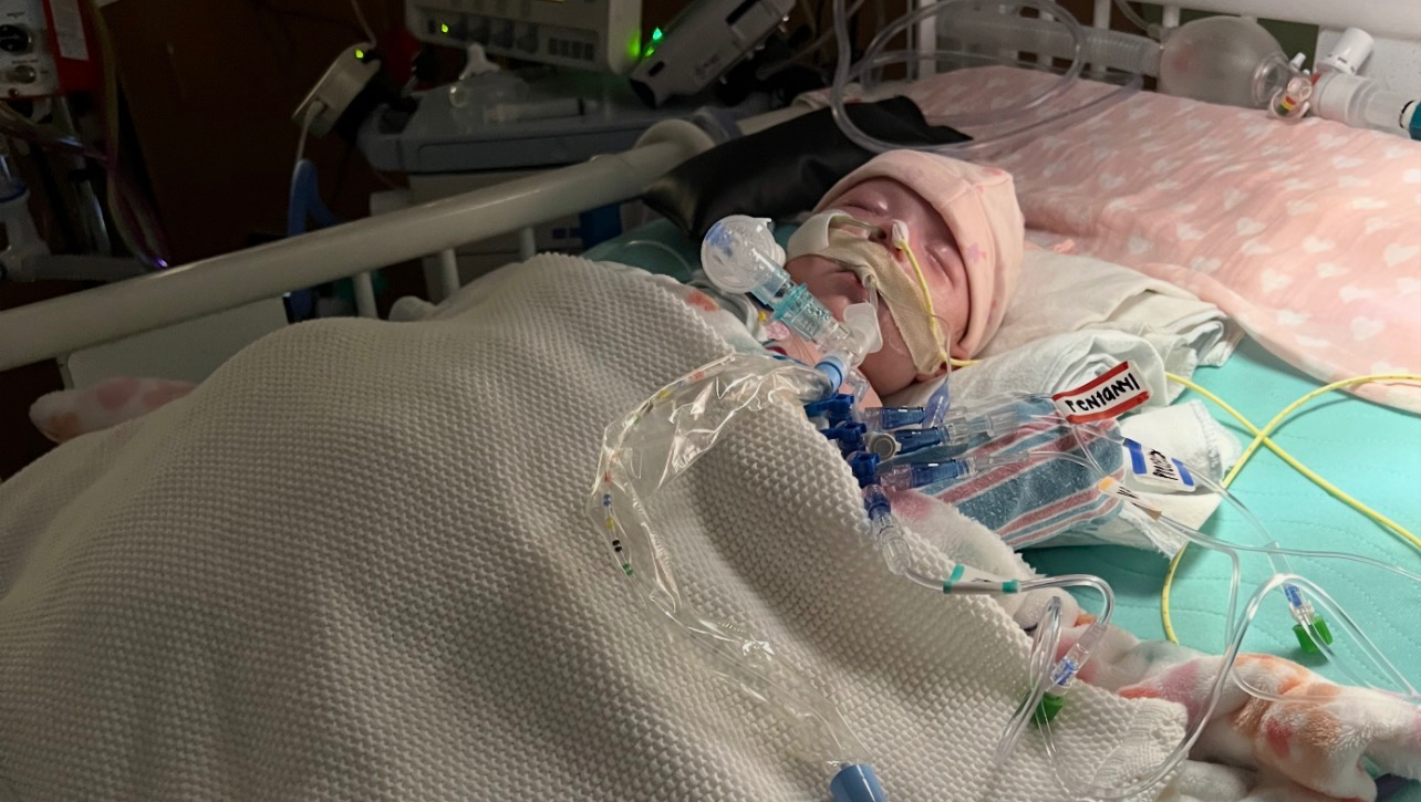 Fundraiser for Madison Lambert by Lydia Lambert : Maven Jane Lambert