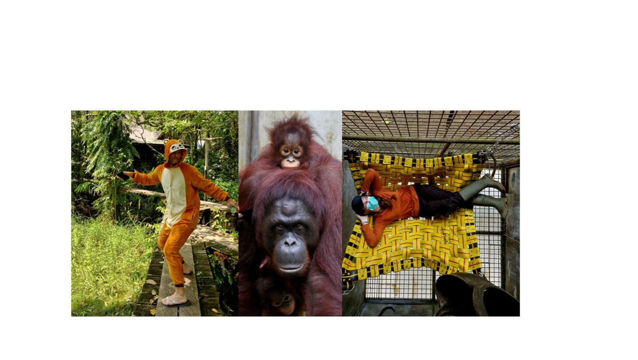 Fundraiser by Matthew Barnes : Bouncing around Borneo