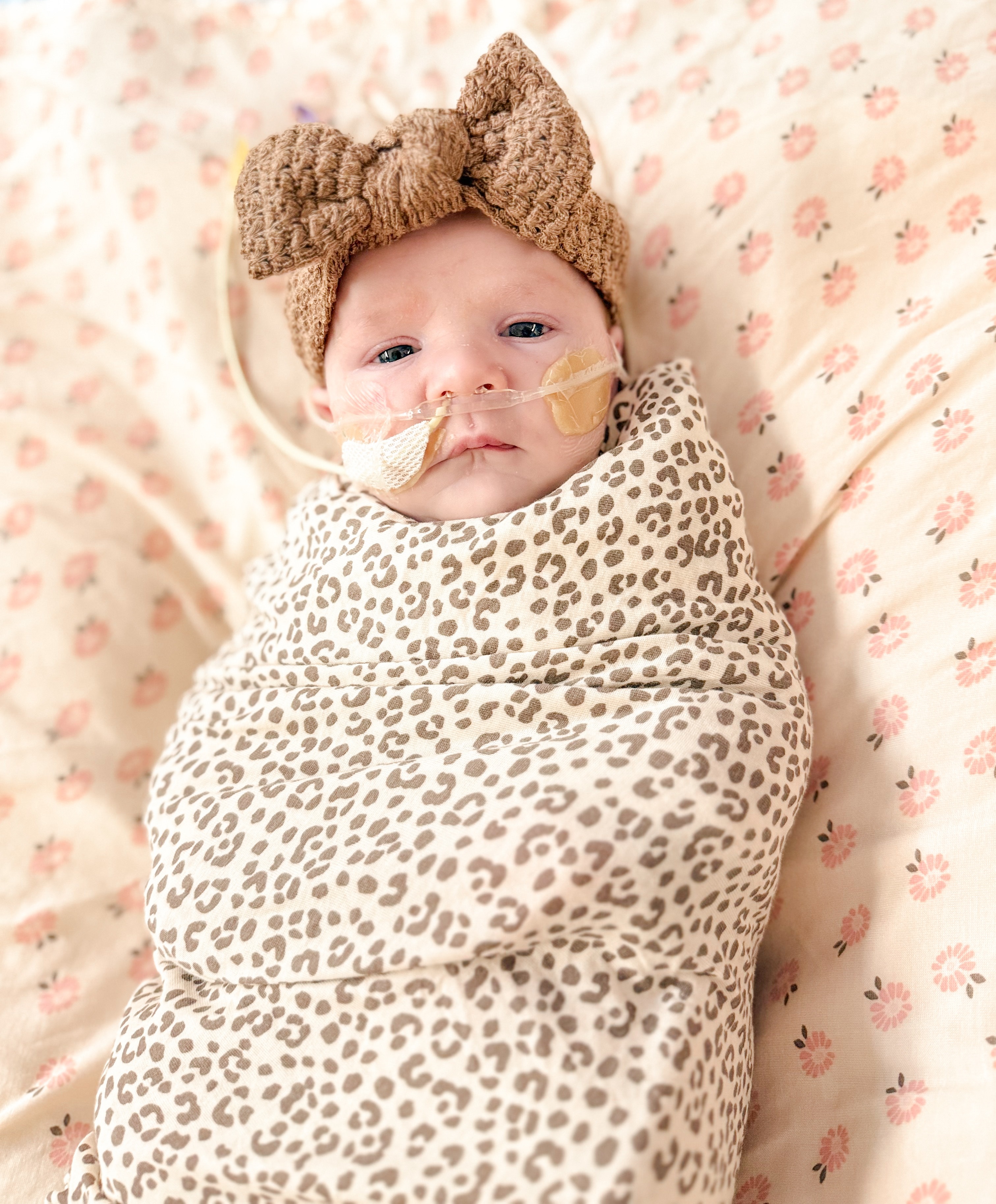 Fundraiser by Clayton Becker : Maeven's World