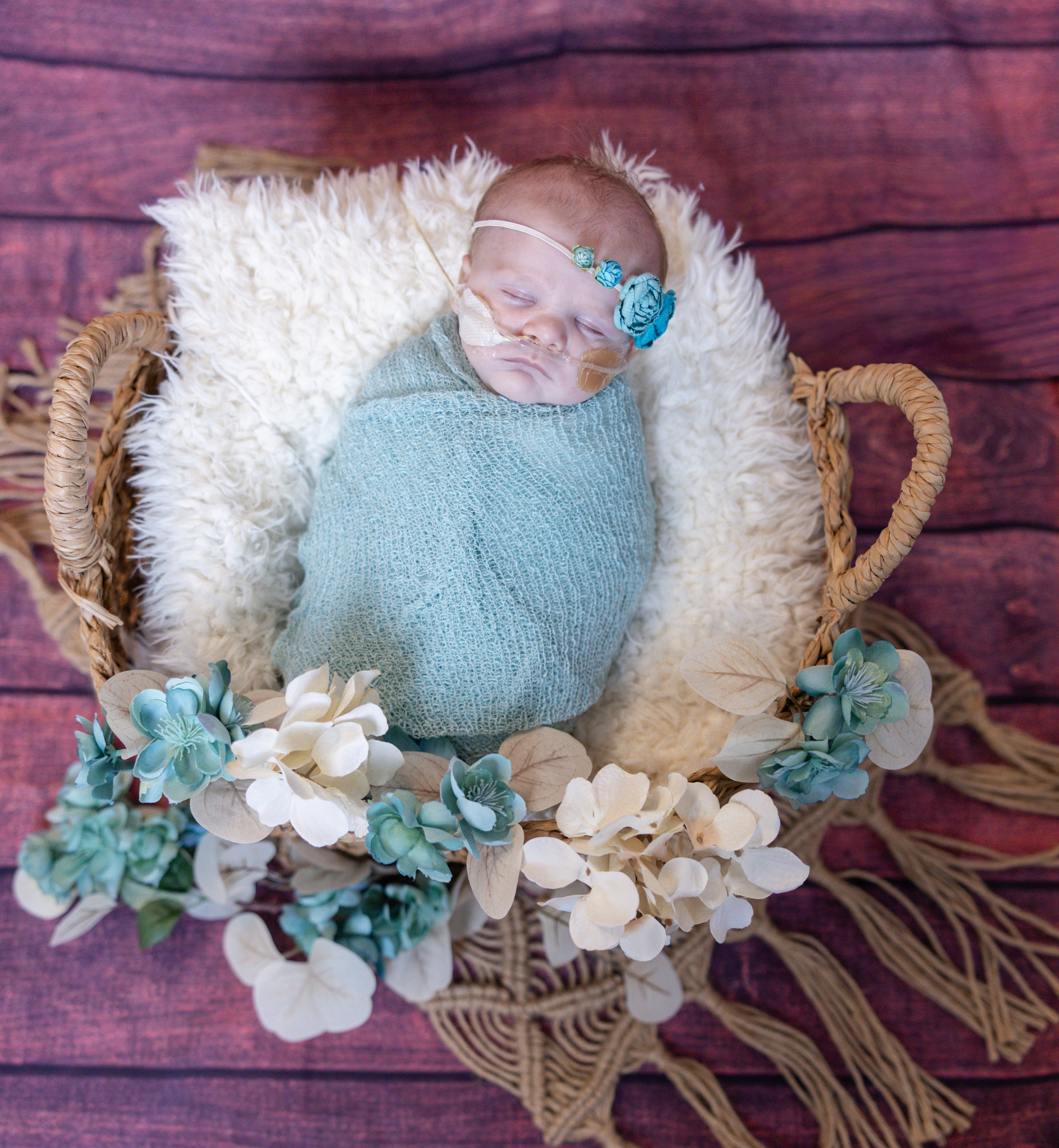 Fundraiser by Clayton Becker : Maeven's World