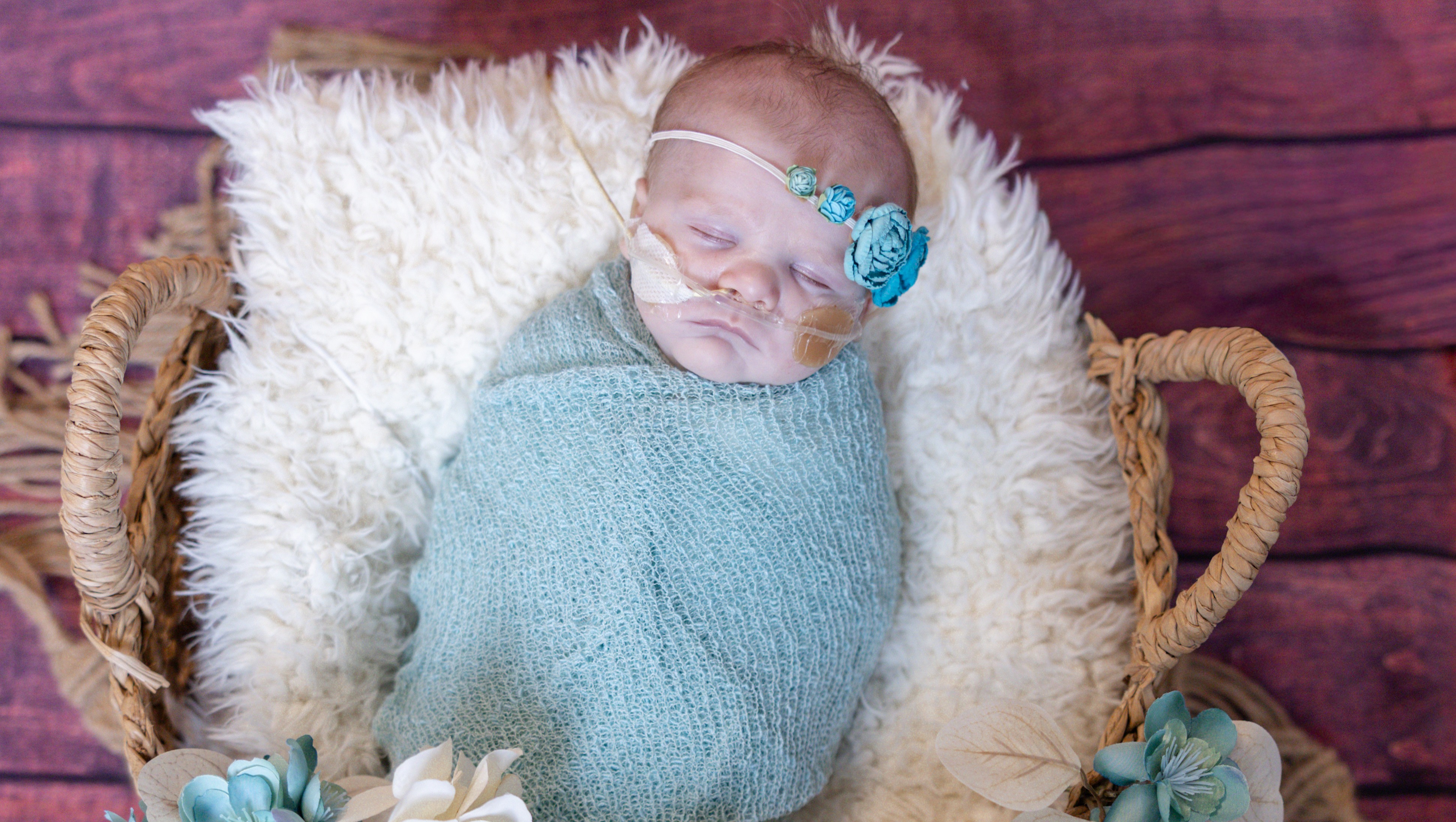 Fundraiser by Clayton Becker : Maeven's World