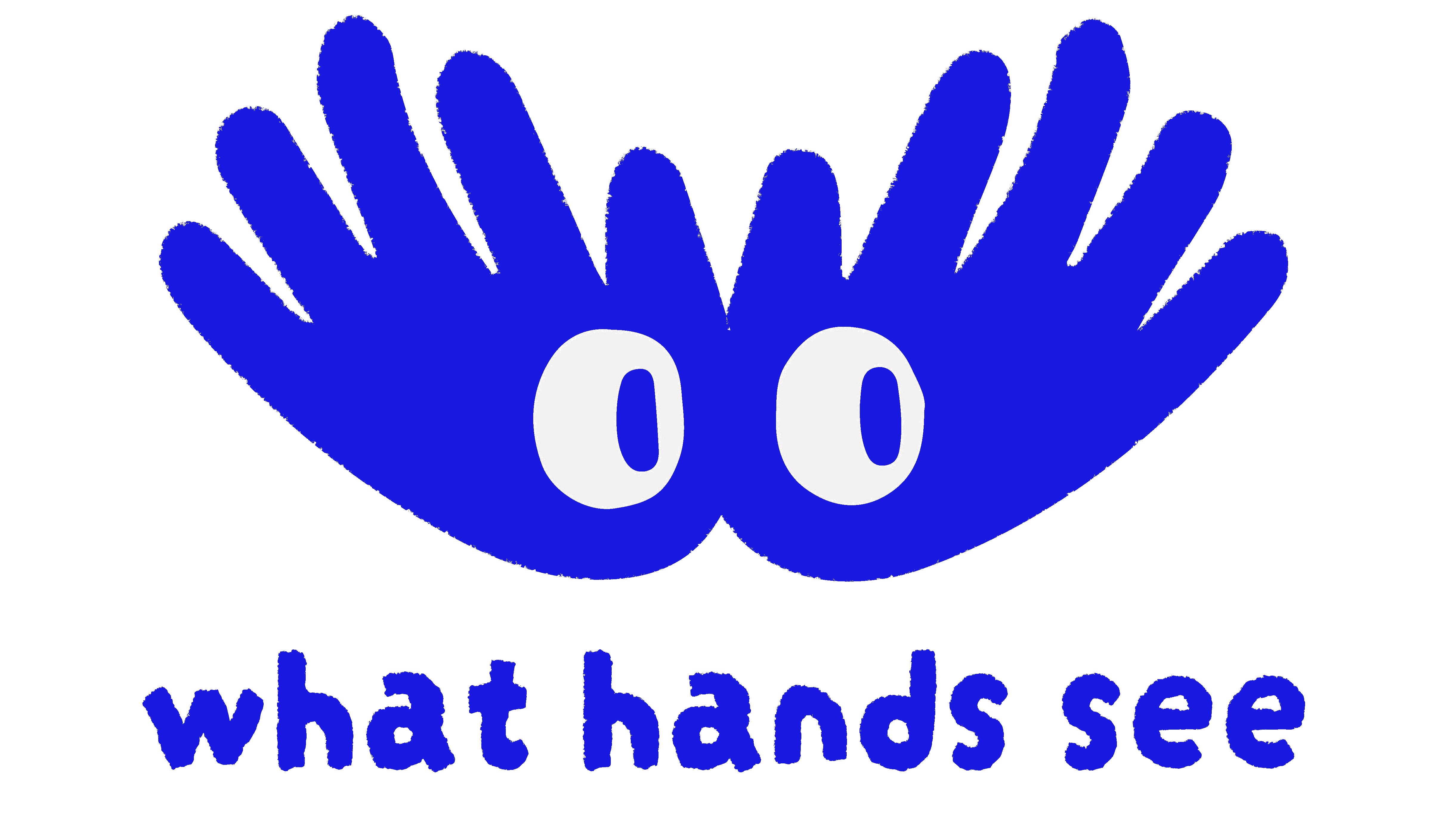 Fundraiser by Chelina Kim : WHAT HANDS SEE Art Exhibition