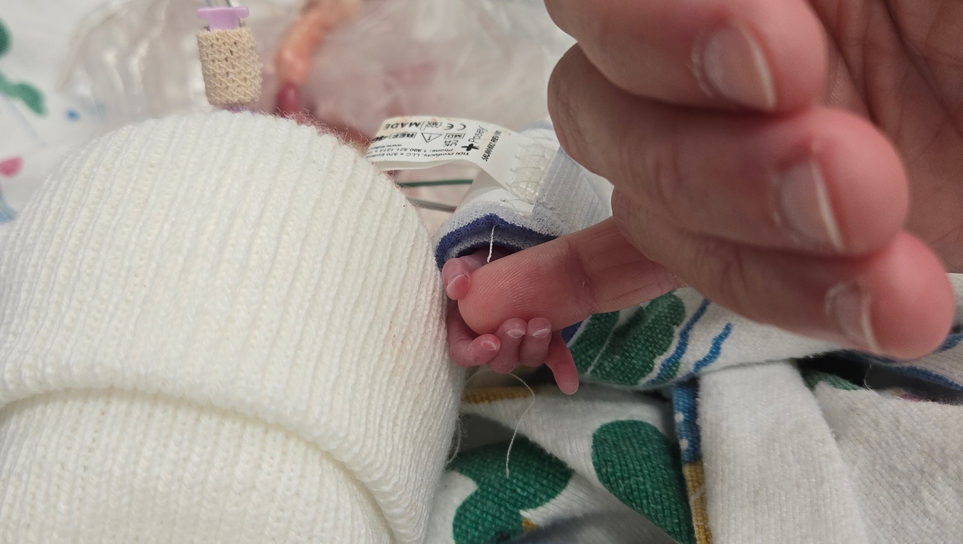 Fundraiser by Nicole Reed : Honoring Archer Cole Reed: Help Us Heal