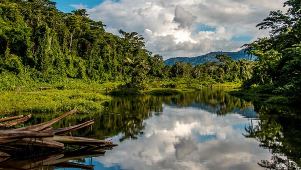 Fundraiser by Clinton Williamson : Helping Junglekeepers protect the Amazon