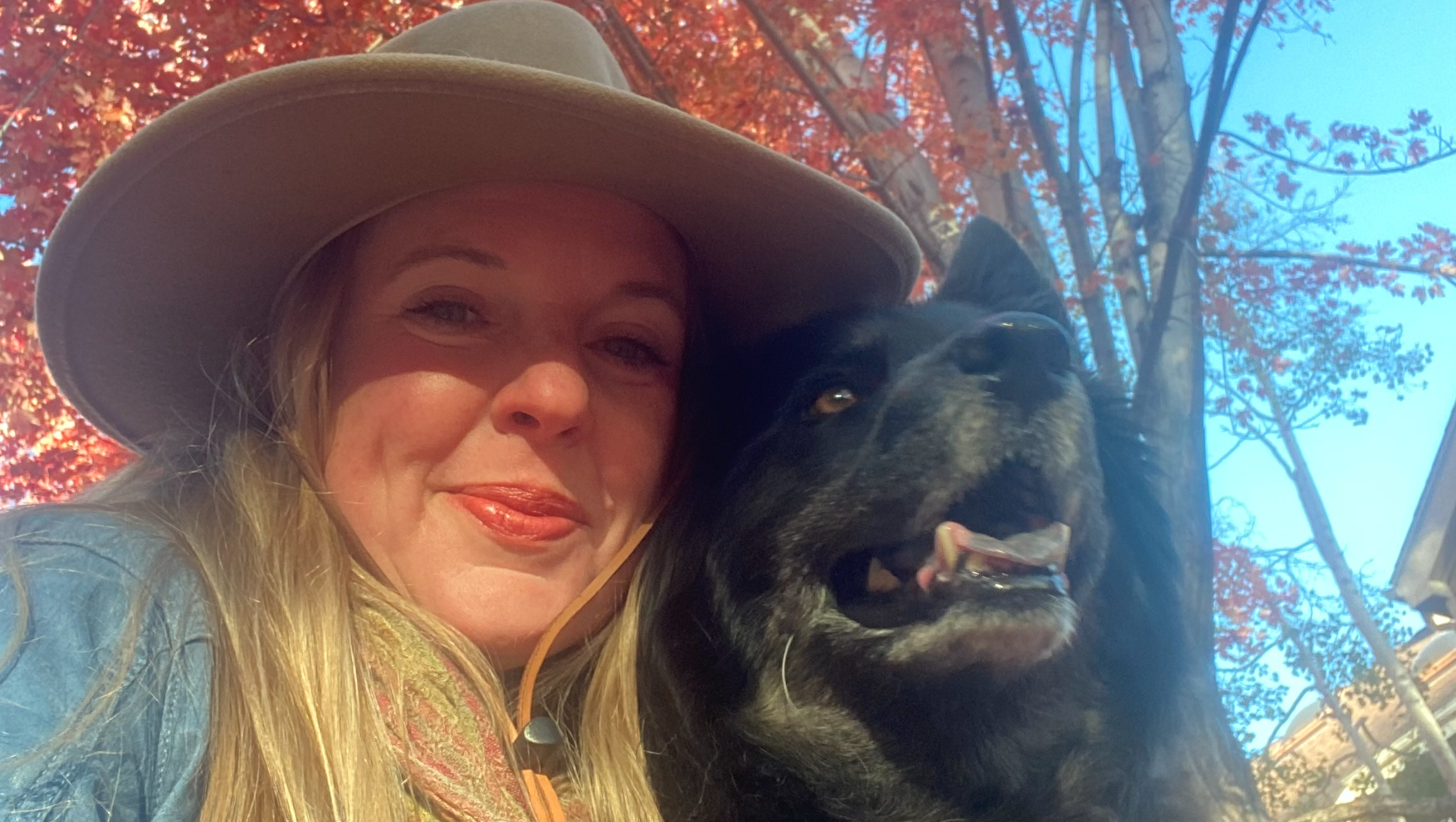 Fundraiser by Joni Fraser : Support Nikita, 'The Shaman Dog', In Her ...