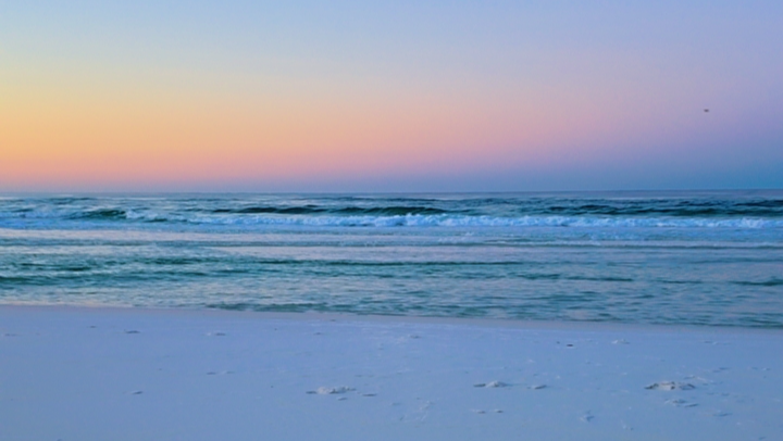 Fundraiser by Peter Beveridge : Help Ease the Move to Florida
