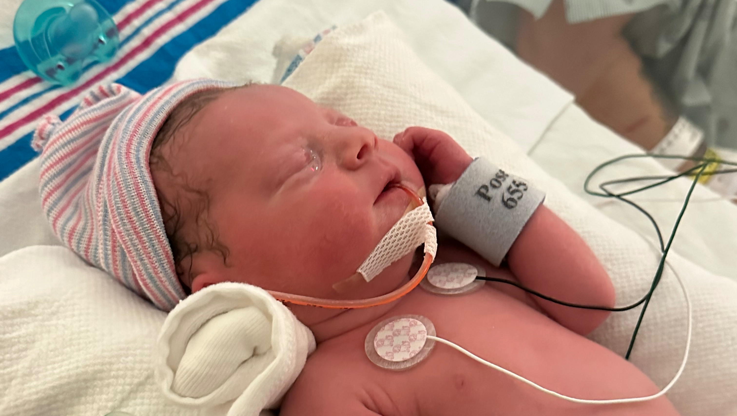 Fundraiser by Haley Morton : Support Baby Maelyn's NICU Journey