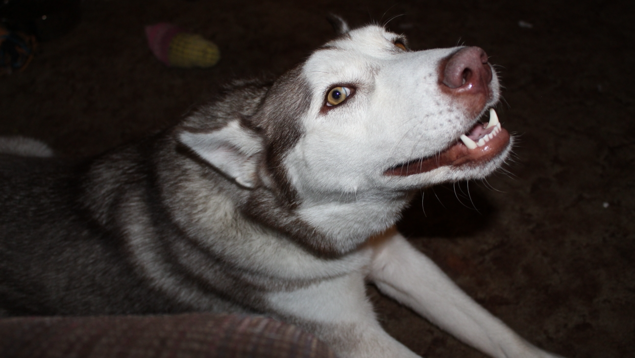 Fundraiser by Wynn and Sylvia Keyes : Support Wynn and Sylvia Against Harassment