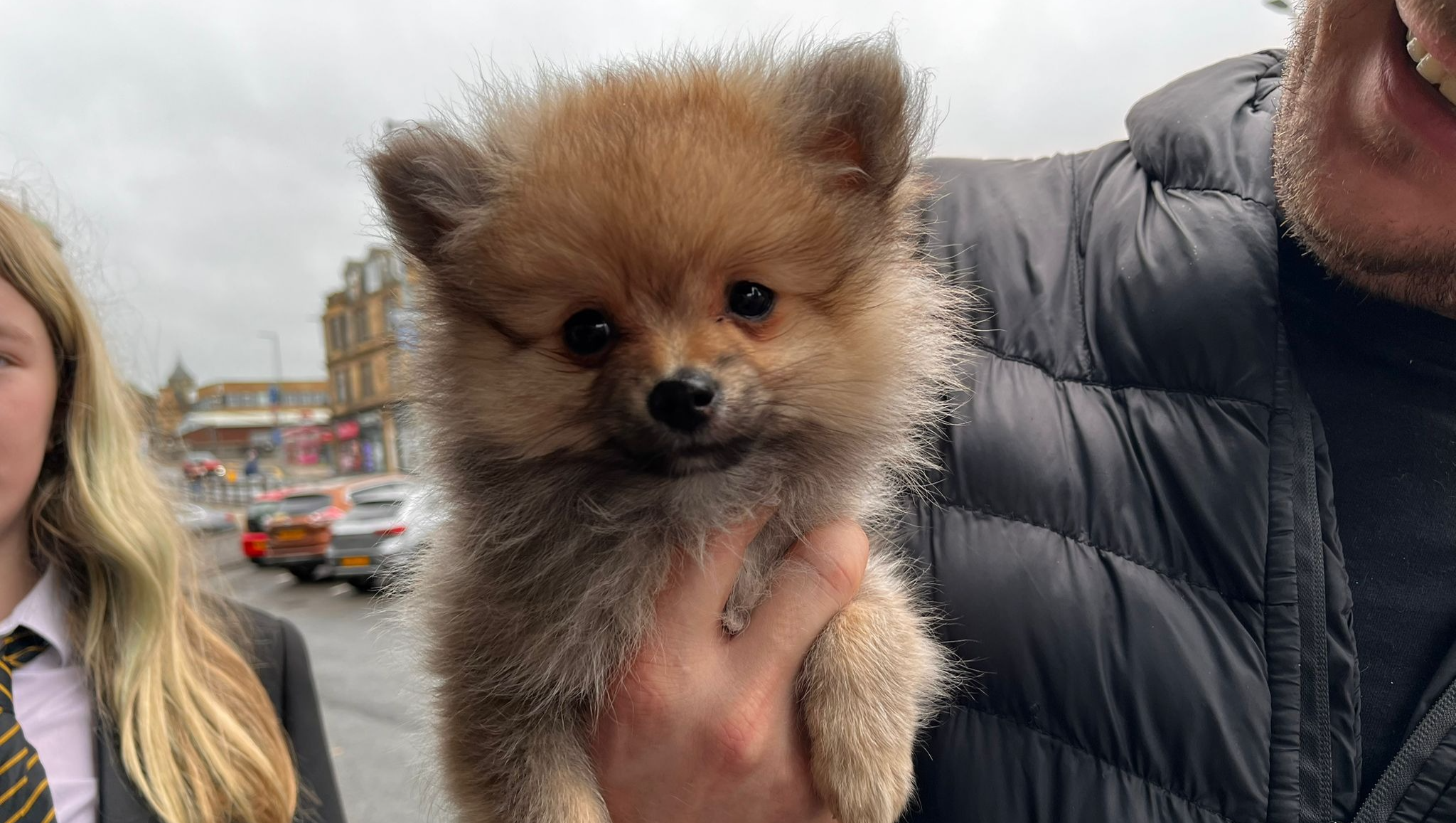 Fundraiser by Dean Hamilton : Help Snoopy