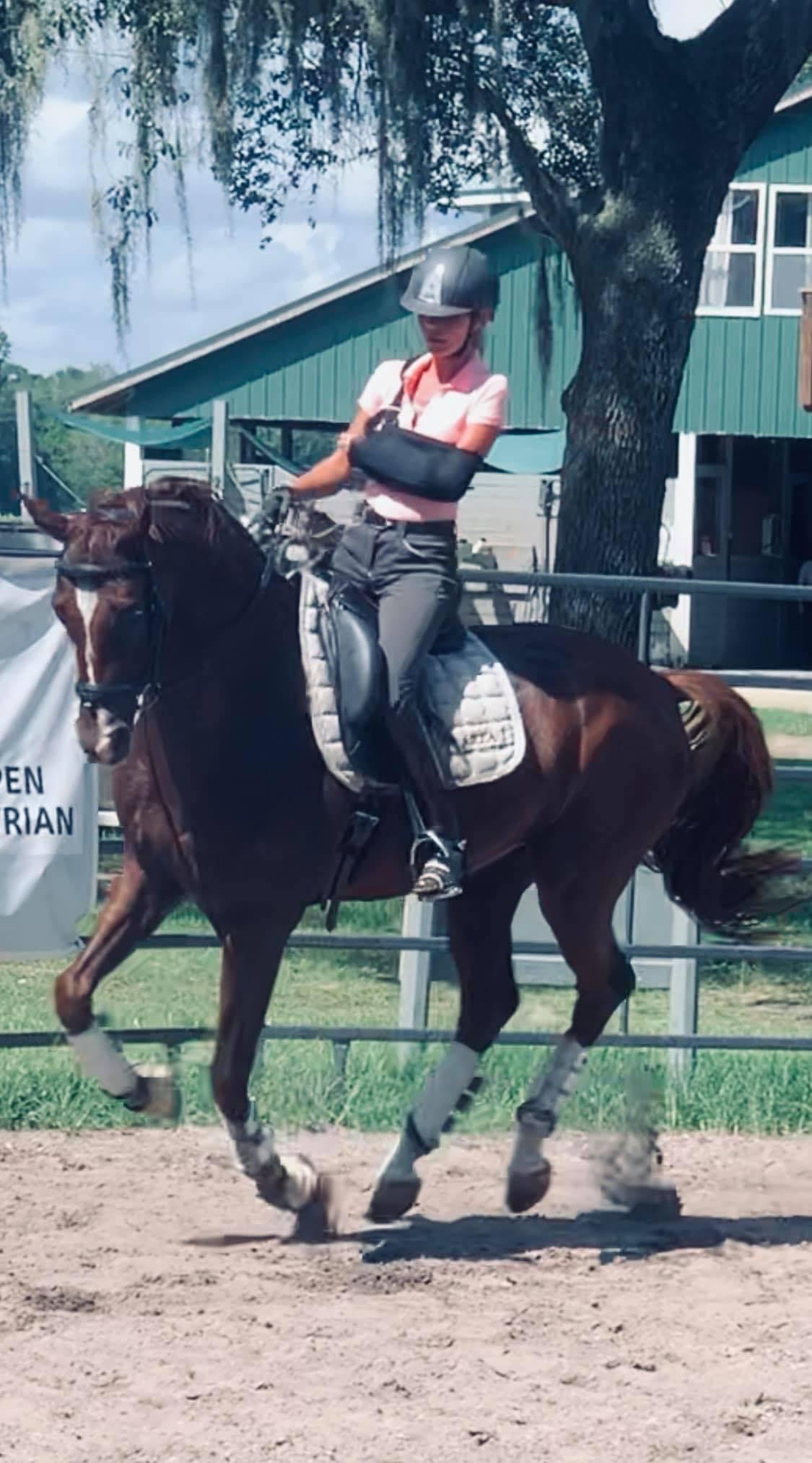 Fundraiser by Elle Woolley : Help Elle Woolley Bring Duke Back and ...