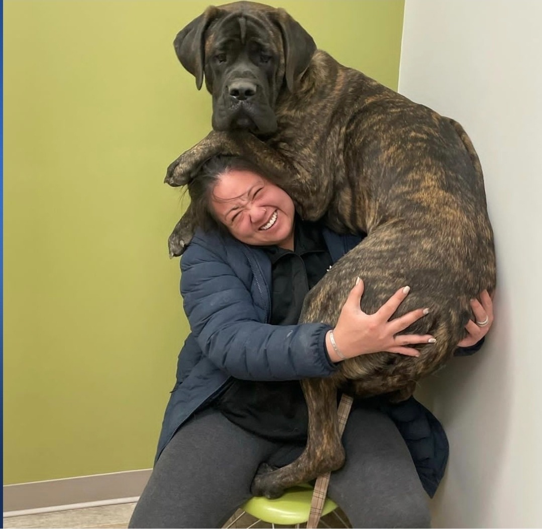 Fundraiser for John Ryan by Ashley Dey : Honoring the Memory of ...