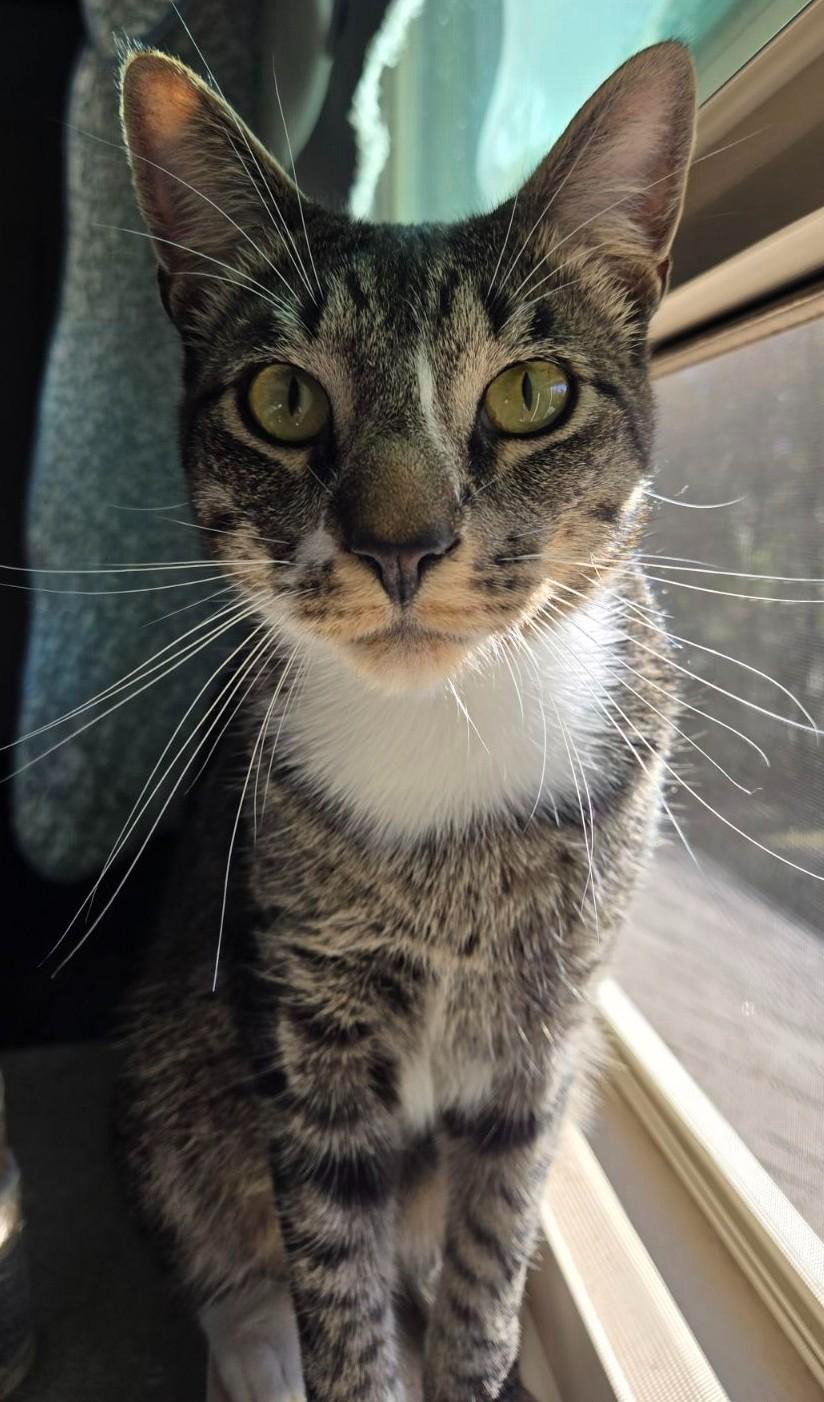 Fundraiser for Lauren Williams by Courtney Rood : Rebuild and Restore ...