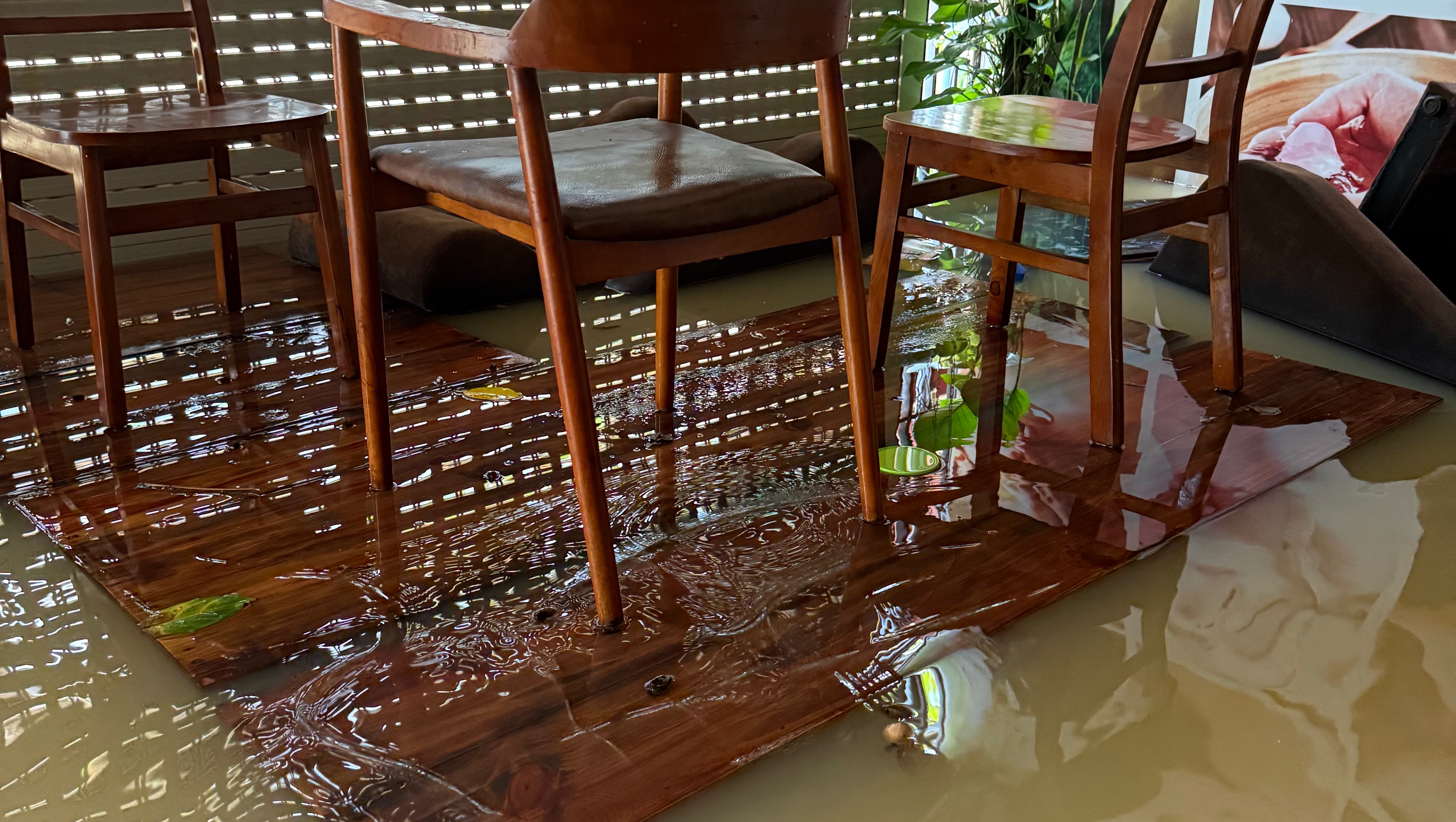 Fundraiser by Charles Van beelen : Hien Coco flood relief in Hoi An ...