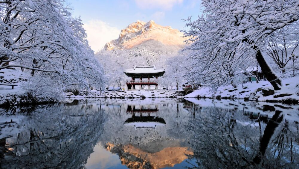 Fundraiser by Lucia Vasquez : Fund Lucia Vasquez's Educational Journey