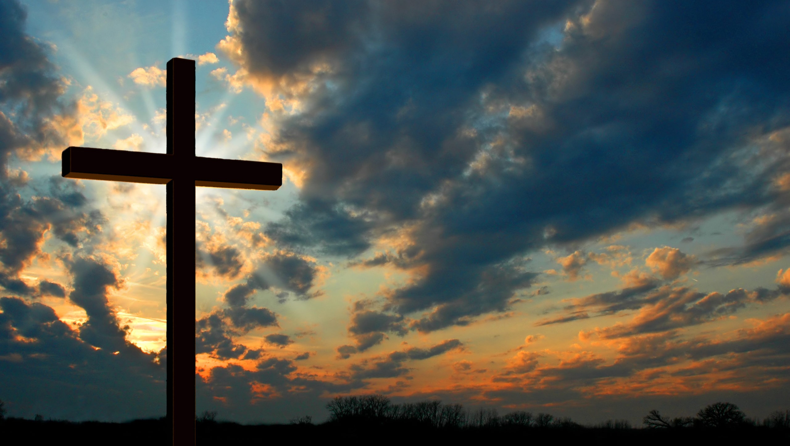 Fundraiser by Tiye Martin : Help Support Matthew and His Dad Through a ...