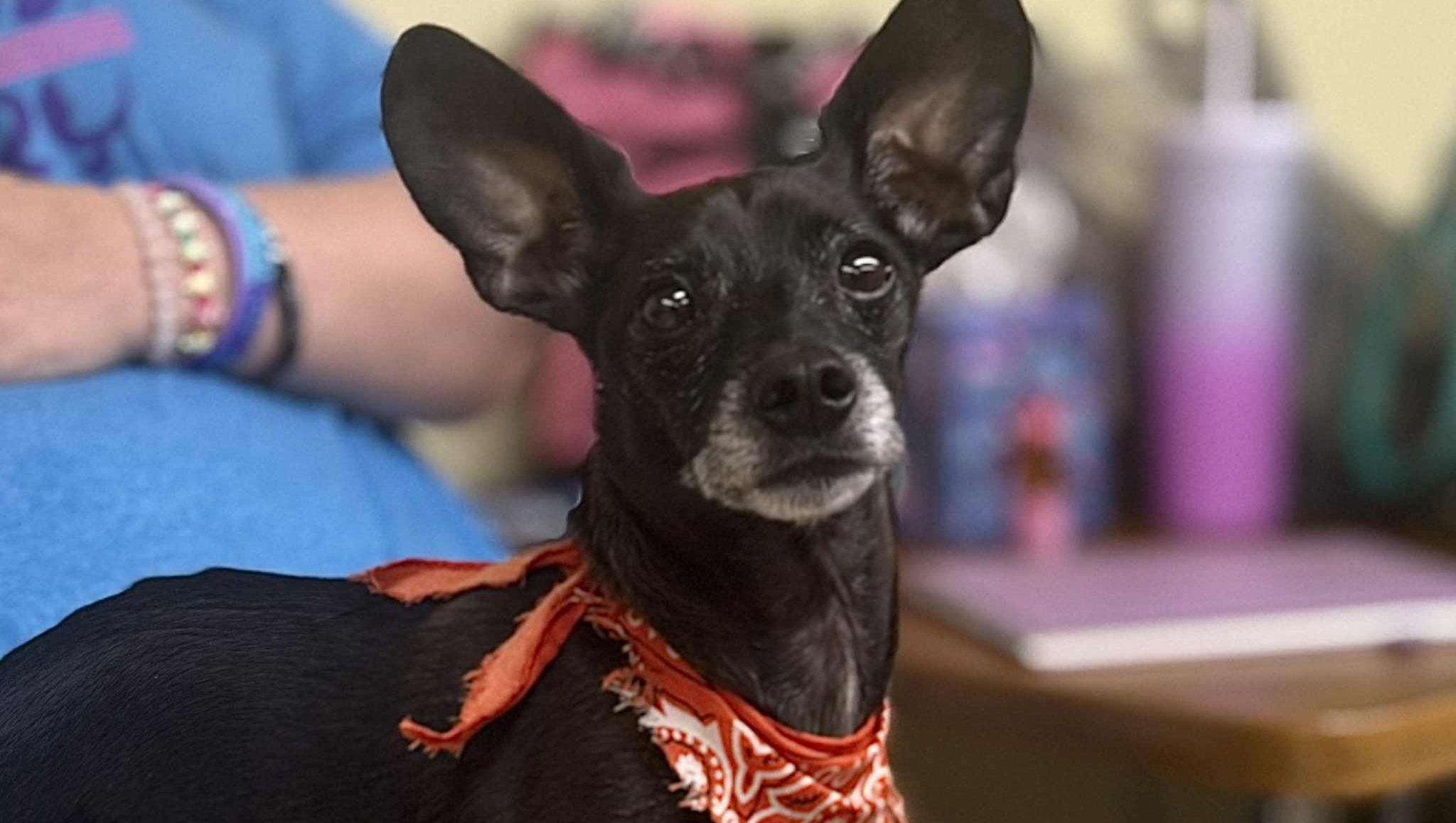 Fundraiser by Chelsey Bohnert : Gerald's Medical Bills: Your Help Needed