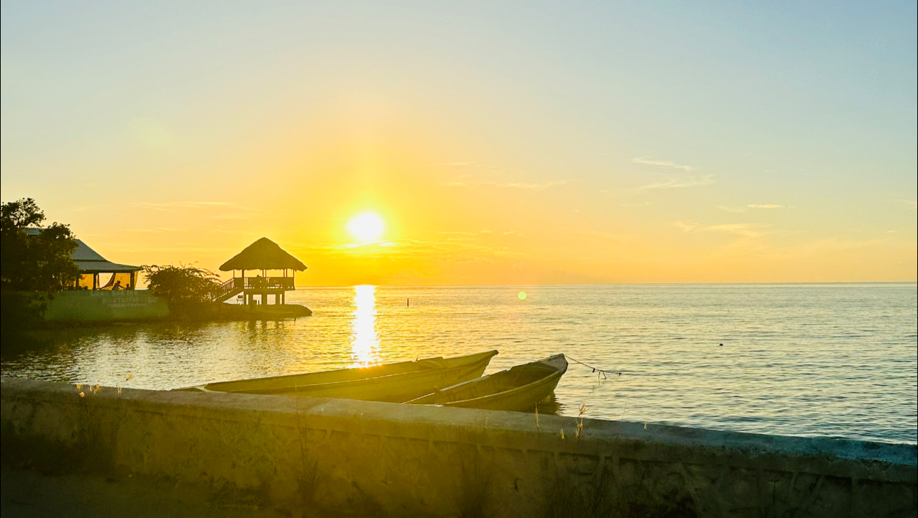Fundraiser by Renae Stennett : Rebuilding Hope in St. Elizabeth, Jamaica