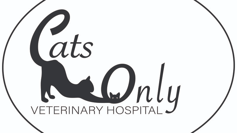 Fundraiser by Andre Wooley : Sponsor-A-Spay: Help Cats Only Vet Hospital
