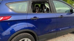 Fundraiser by Meaghan Foley : Help Meaghan Repair Her Car