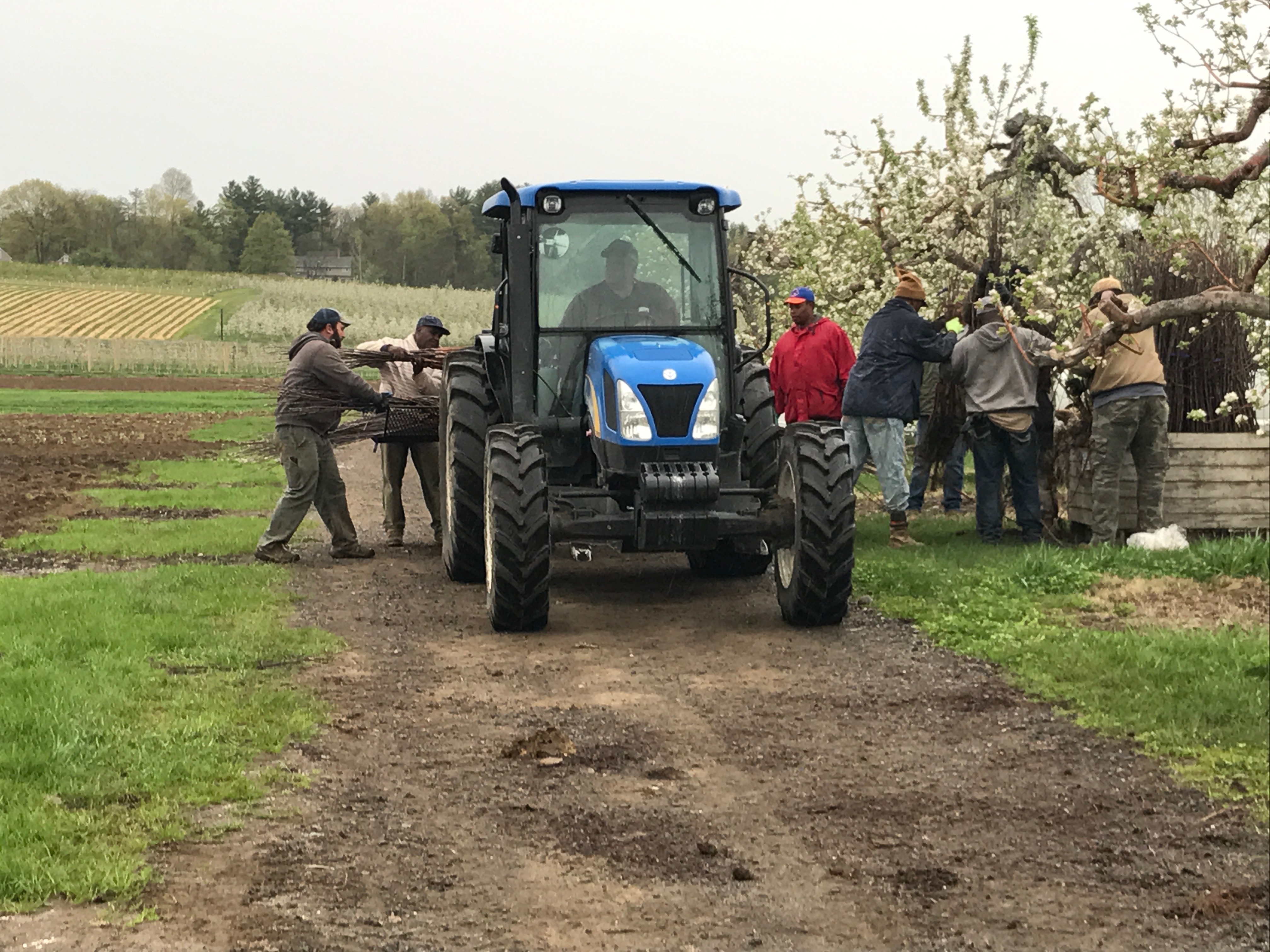 Fundraiser by Brookdale Fruit Farm : Rebuilding Hope for Our Jamaican ...