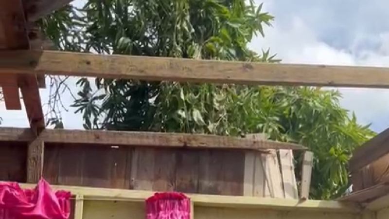 Fundraiser by DANE ELLIS : Rebuilding Hope: Support Our Jamaican ...