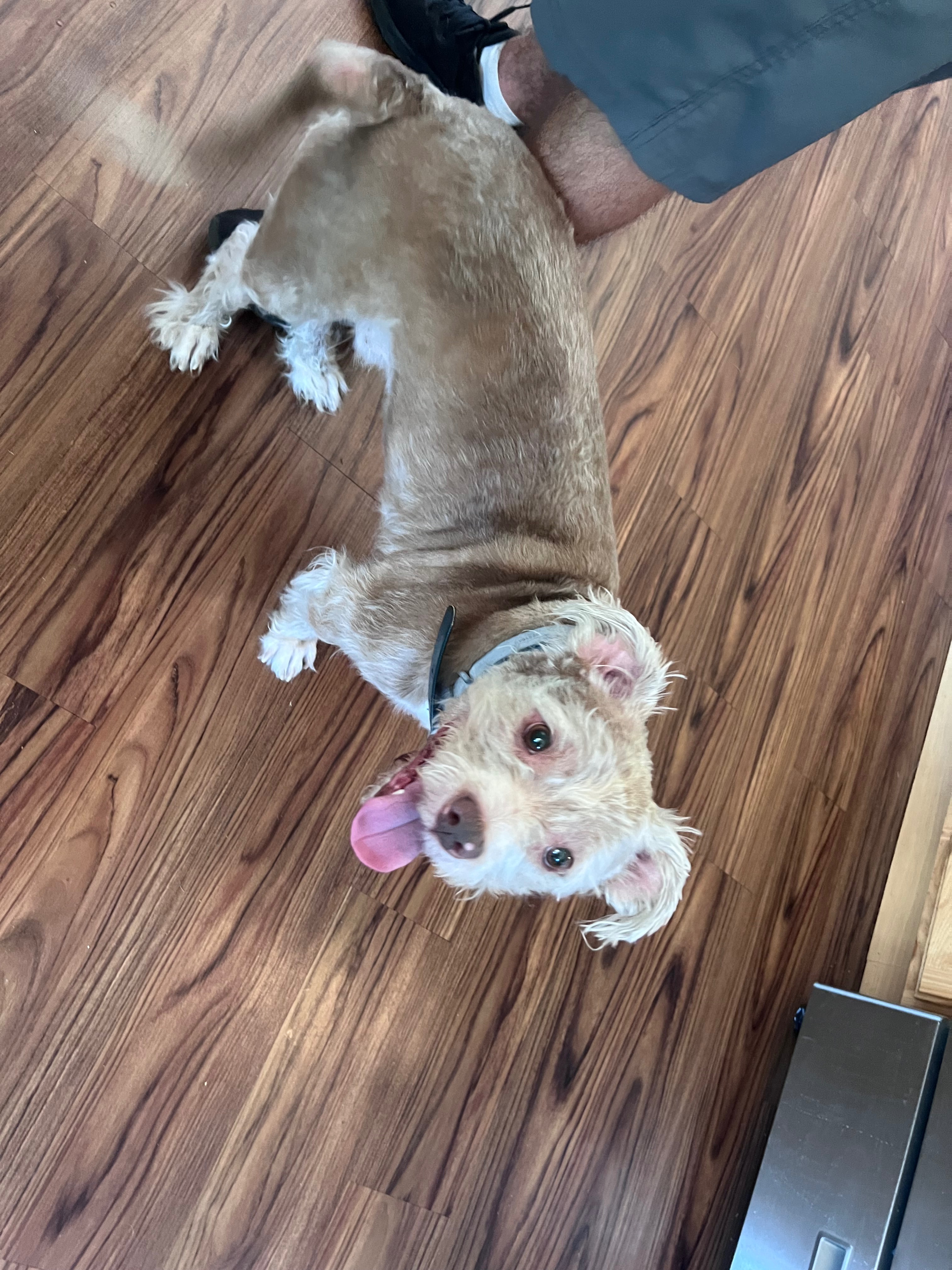 Fundraiser for Maria Chamberlain by Aylah Brown : Help Save My best ...