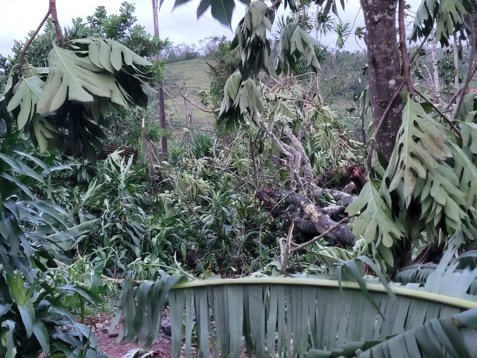 Fundraiser by Rushell R : Support Rushell's Family After Hurricane Melissa