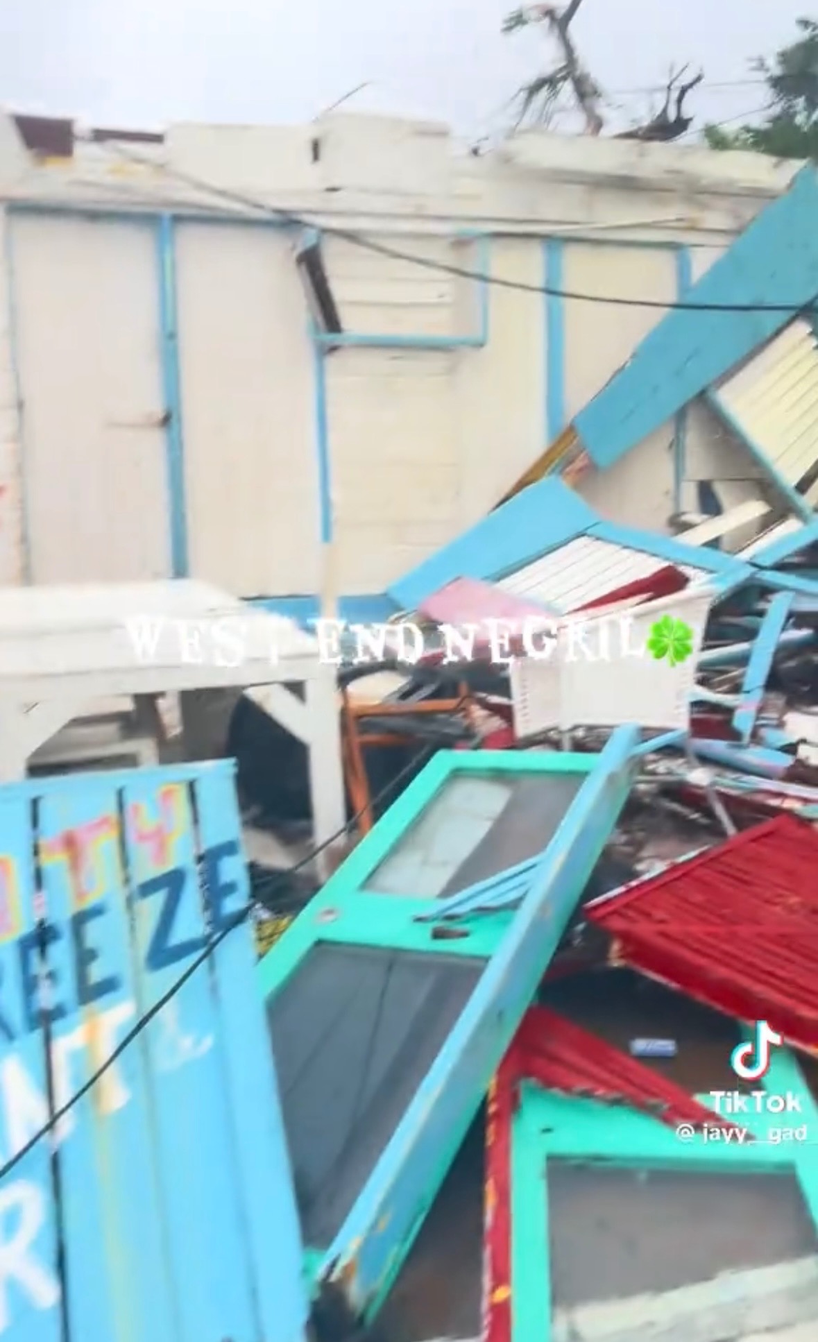 Fundraiser by Heshima Foster : Help Negril Families Recover from ...