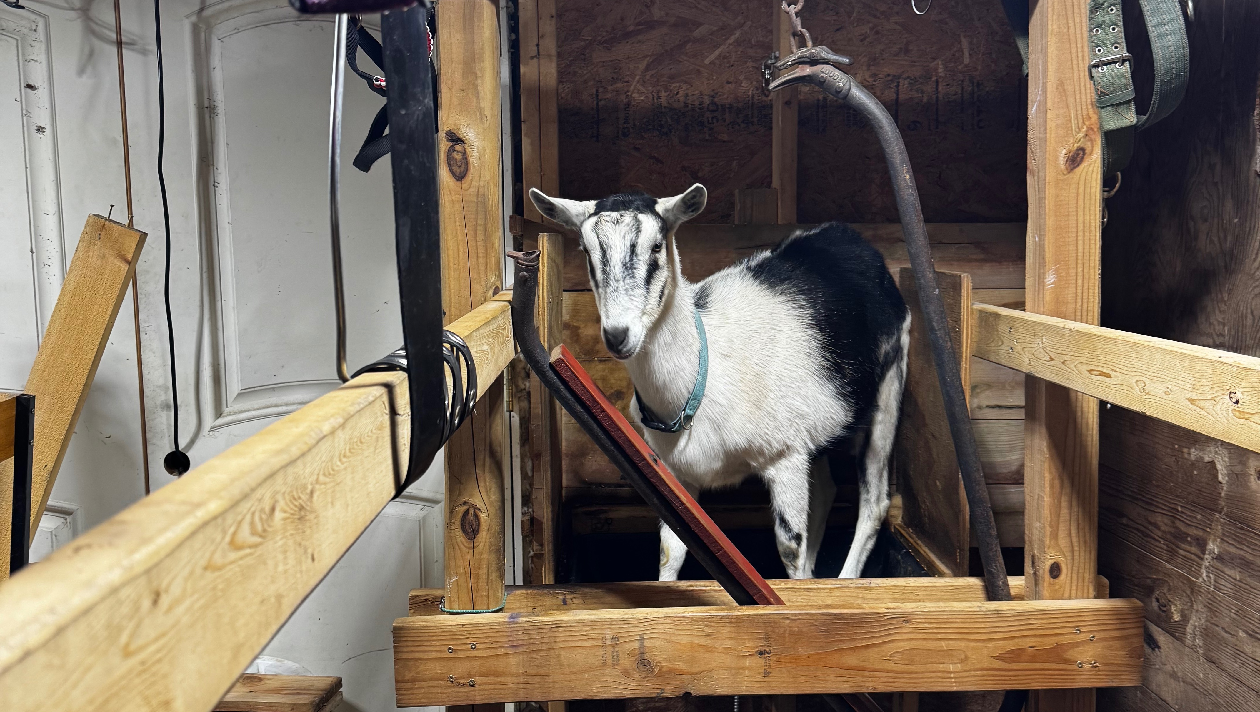 Fundraiser by Faber Farms : Support Faber Farm: Upgrade Essential Equipment