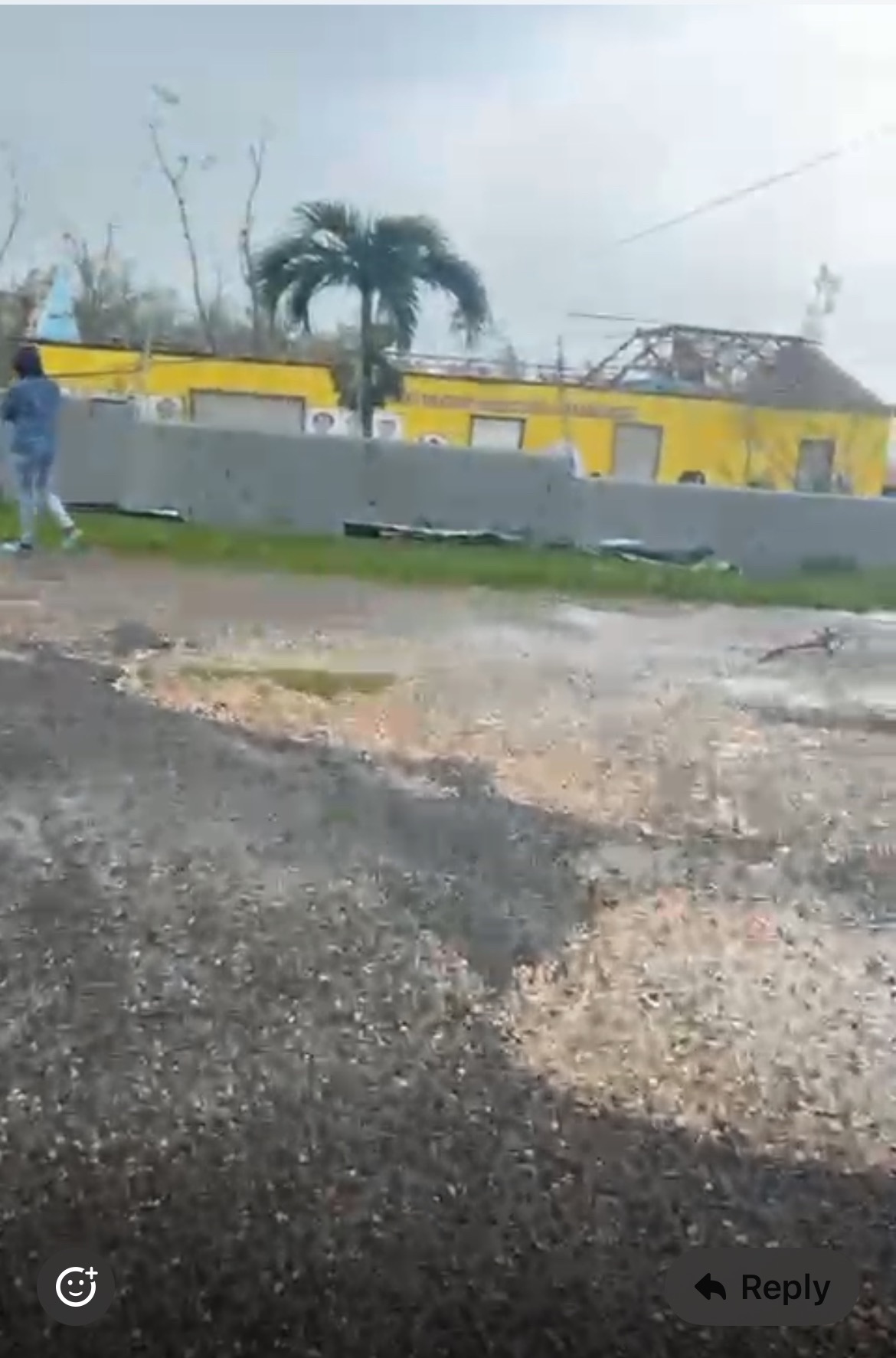 Fundraiser by Kayleigh Barrett : Our Jamaican family’s community!!