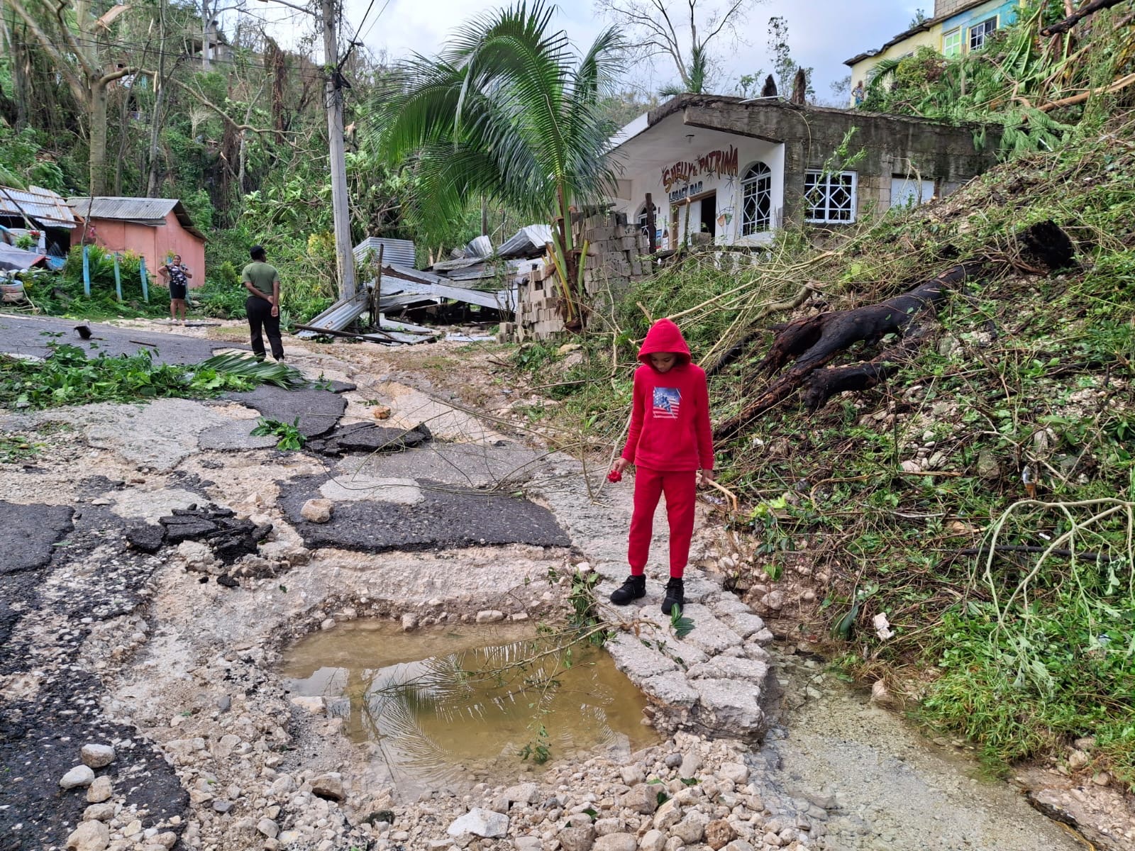 Fundraiser by Janice Brown-Clarke : Support Hanover's Recovery from ...