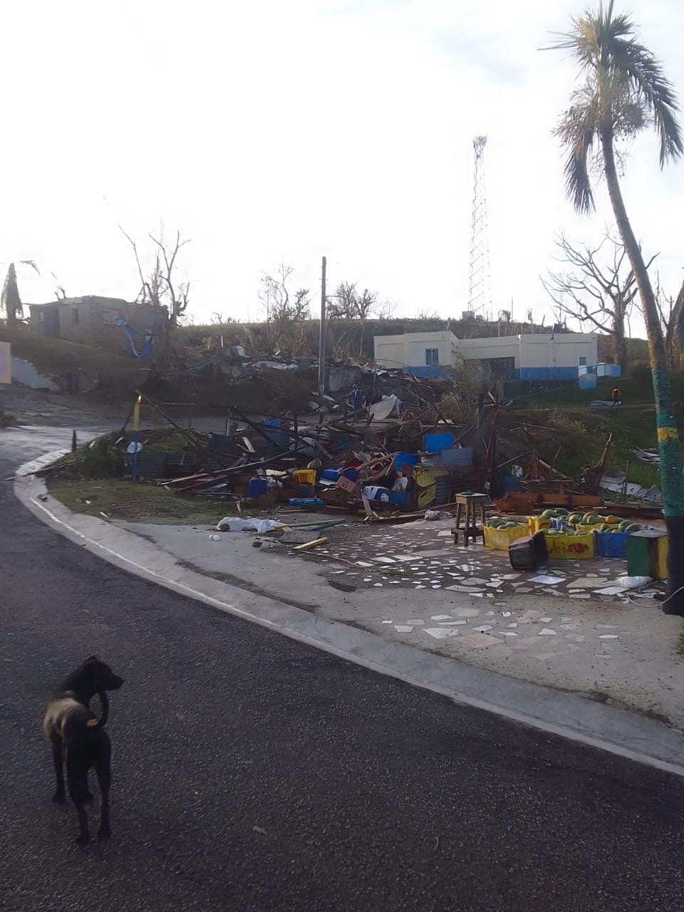 Fundraiser by Janice Brown-Clarke : Support Hanover's Recovery from ...