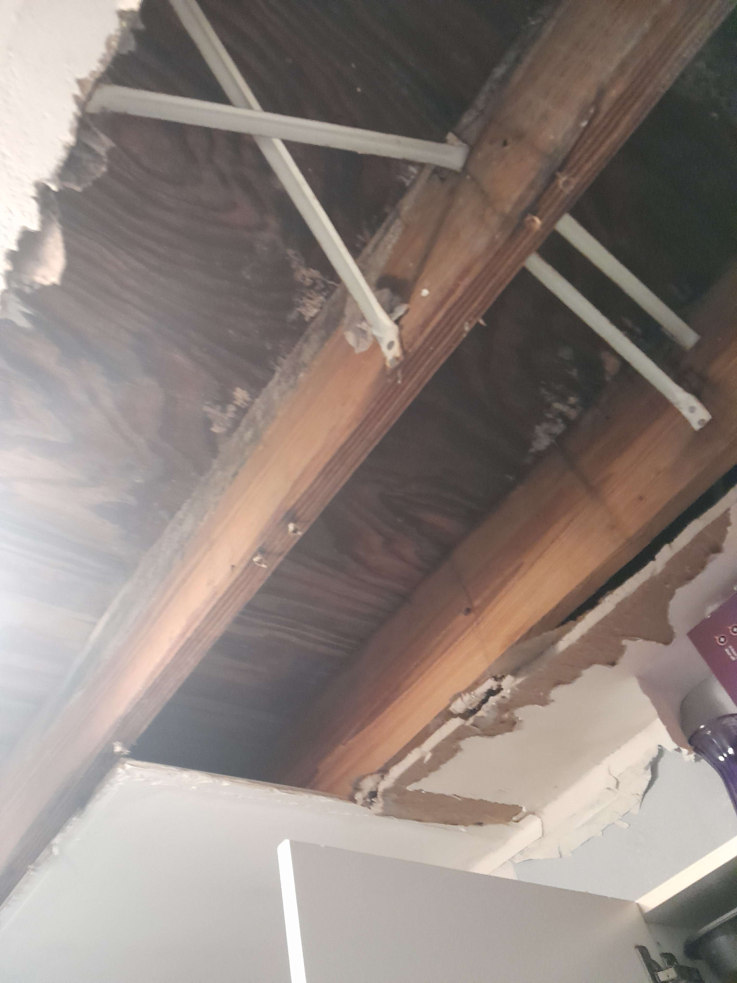 Fundraiser by Jacqueline Bodine : Donate to Help Jackie Recover from ...