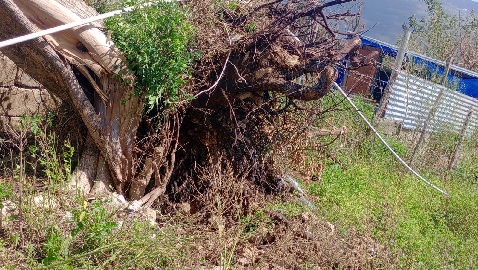 Fundraiser by Denise Malcolm : Help My family rebuild after Hurricane ...