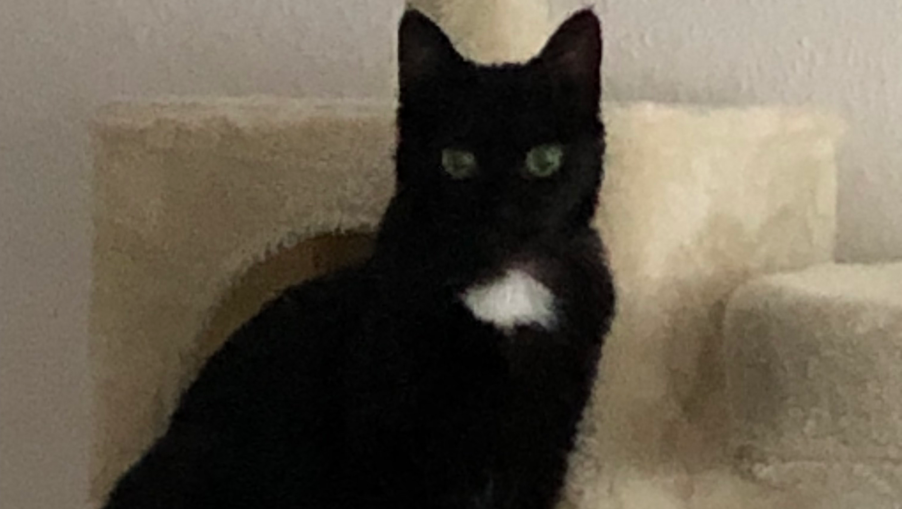 Fundraiser by Gabriele Pfingstl : Hilfe für Myrian