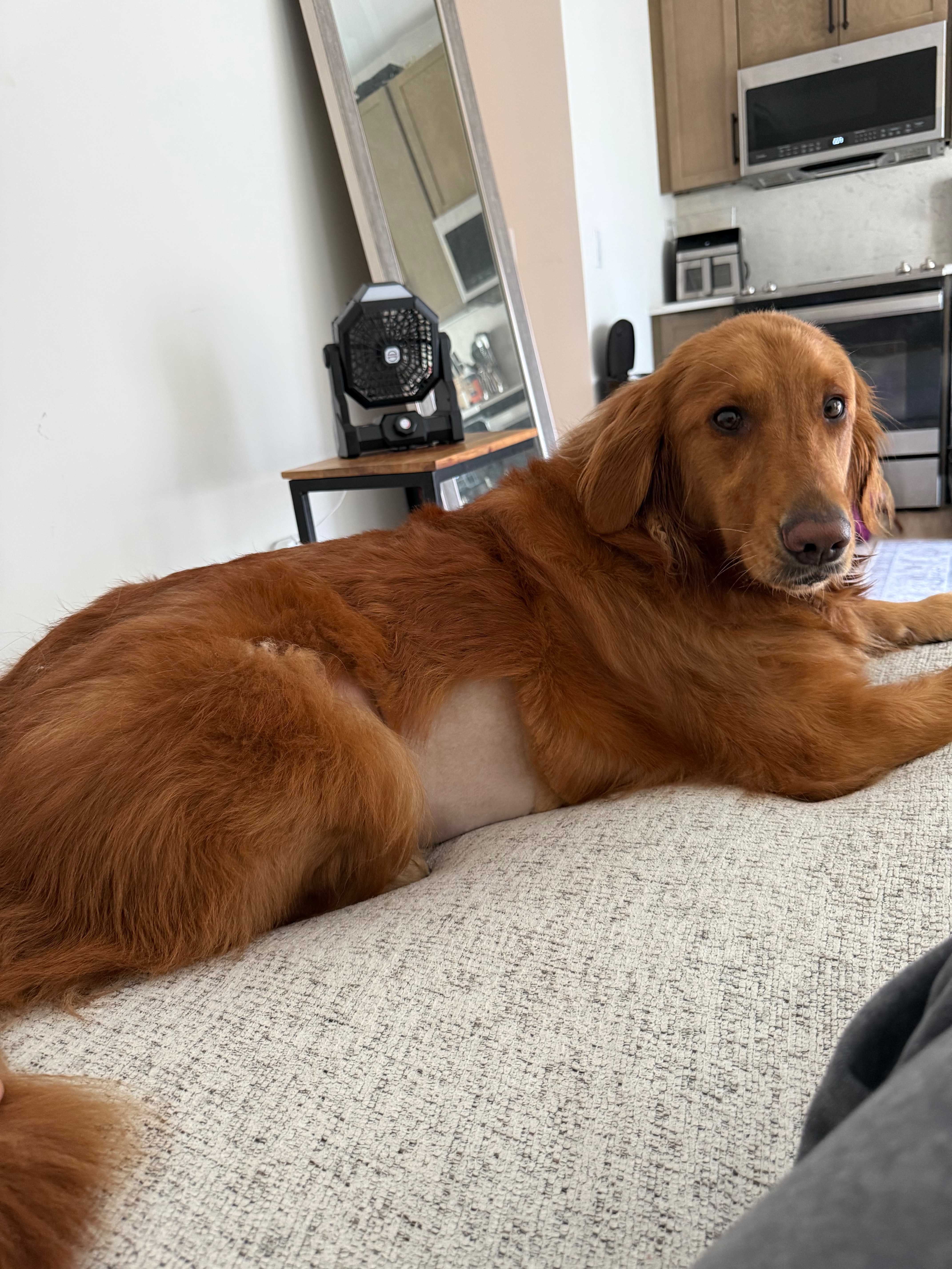 Fundraiser by Rustal Deolly Javier : Help Remy Walk Again: Support Her ...