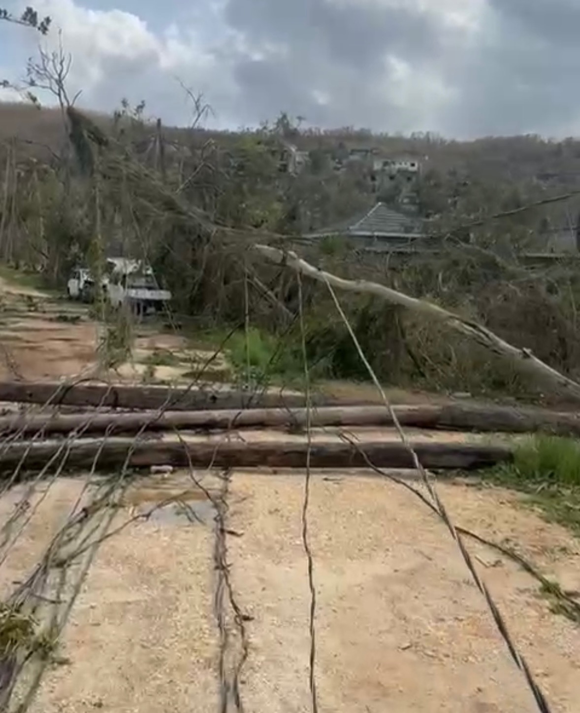 Fundraiser by William Reister : Help Rebuild Lilliput Rose Hall After ...