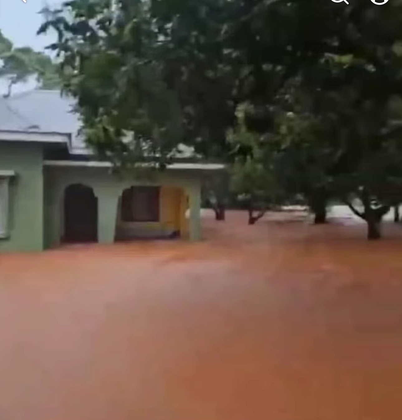 Fundraiser by Odeen Rowe Williams : Support Jamaica: Shipping Barrels ...