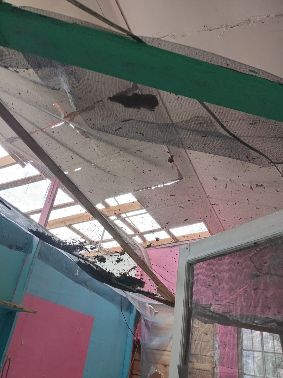 Fundraiser for Anne Downie by Tonya Hepburn : Please help rebuild SIMBA ...