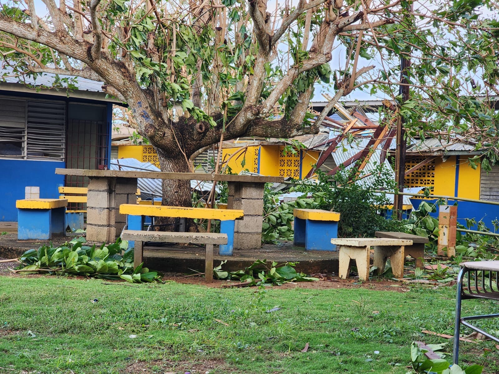 Fundraiser by Ariel Williamson : Support Ariel's Effort for Jamaican ...