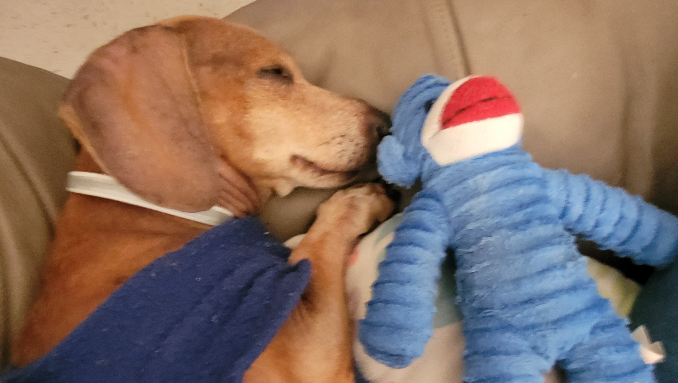 Fundraiser by Amanda Cobb : Help BooRadley and da momma wif Basic Needs