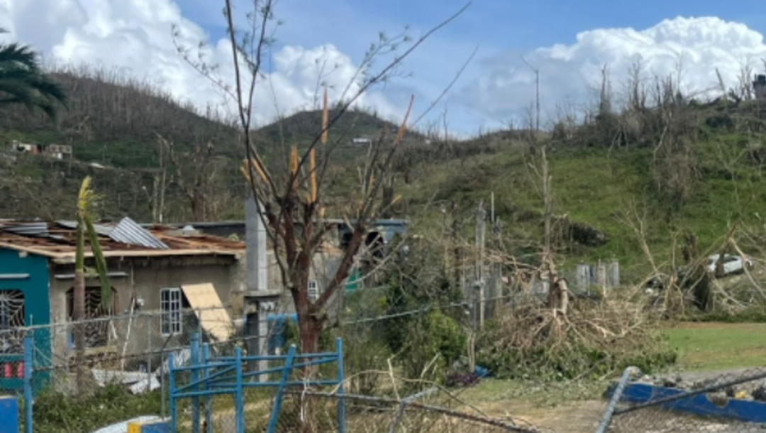 Fundraiser by Launa Heron : Help Launa Heron's Family AND Friends Build ...