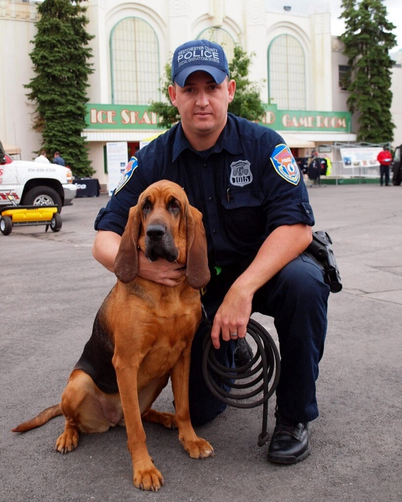 Fundraiser by Eric Peterman : Honor Brian Tierney's Service with a Gift