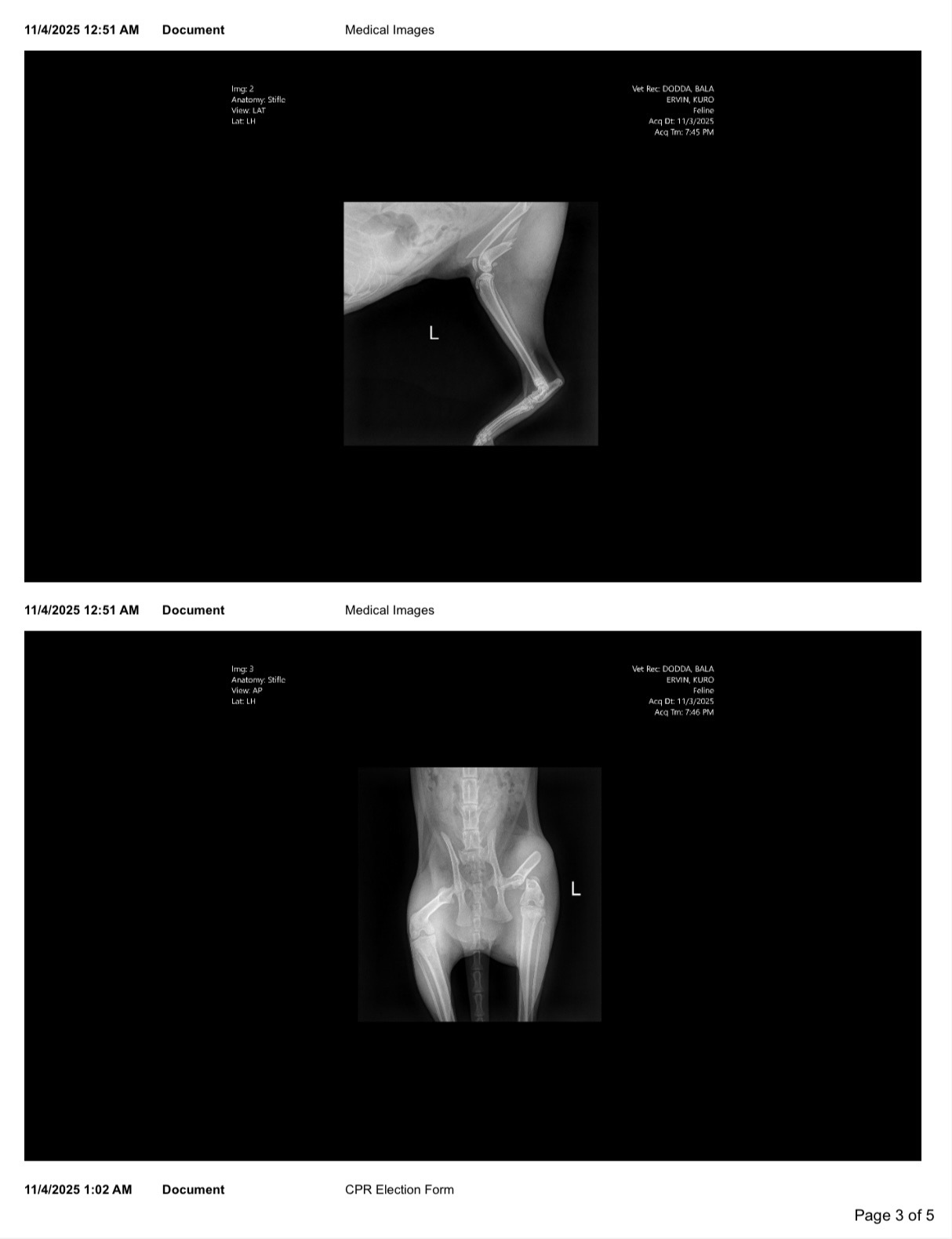 Fundraiser by Michelle Ervin : Donate to Kuros amputation surgery