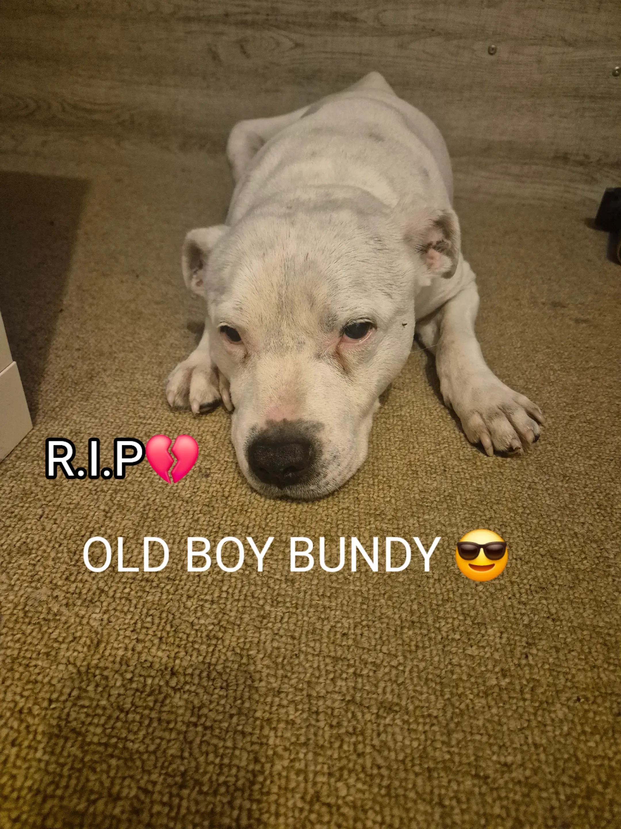 Fundraiser by Ellisha Gow : Bundy Curtis