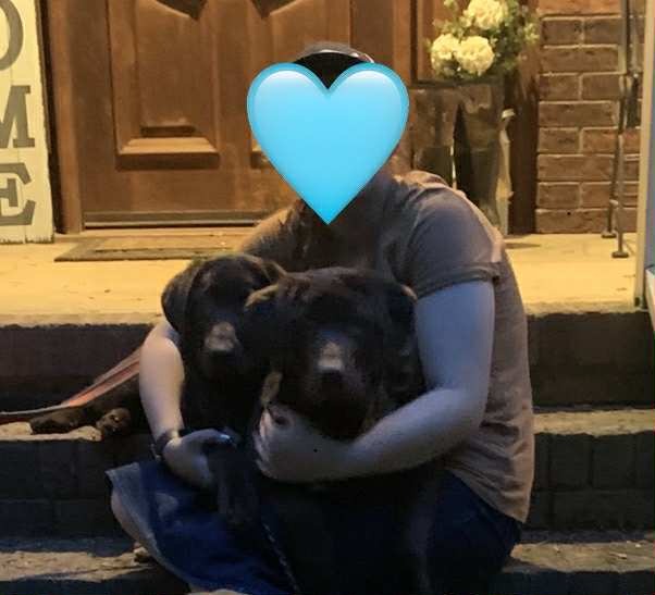 Fundraiser for Tracy Childers by Summer Carver : Save Remi & Tucker ...