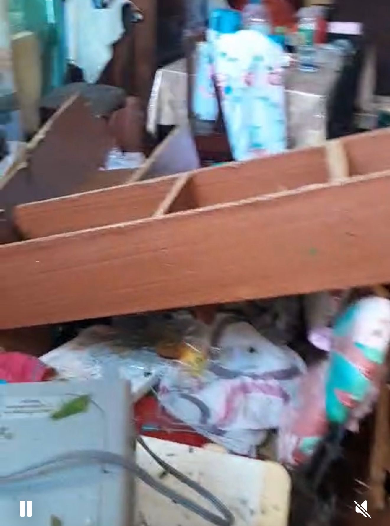 Fundraiser by Marsha Edwards : Support Angella's Family After Hurricane ...