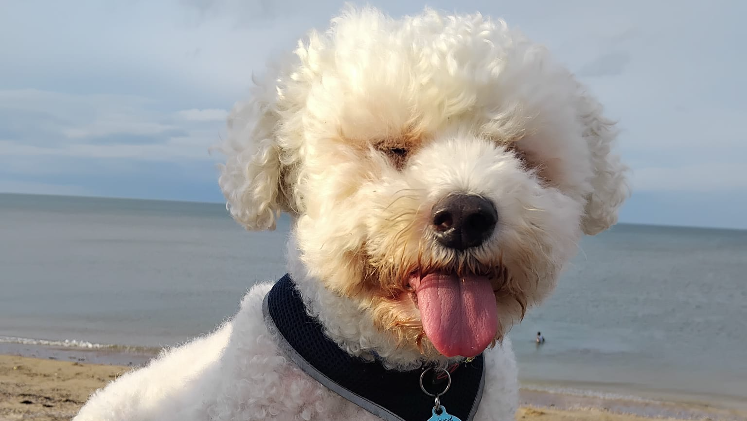 Fundraiser by Martin Russell : Riley medicine.i have diabetes