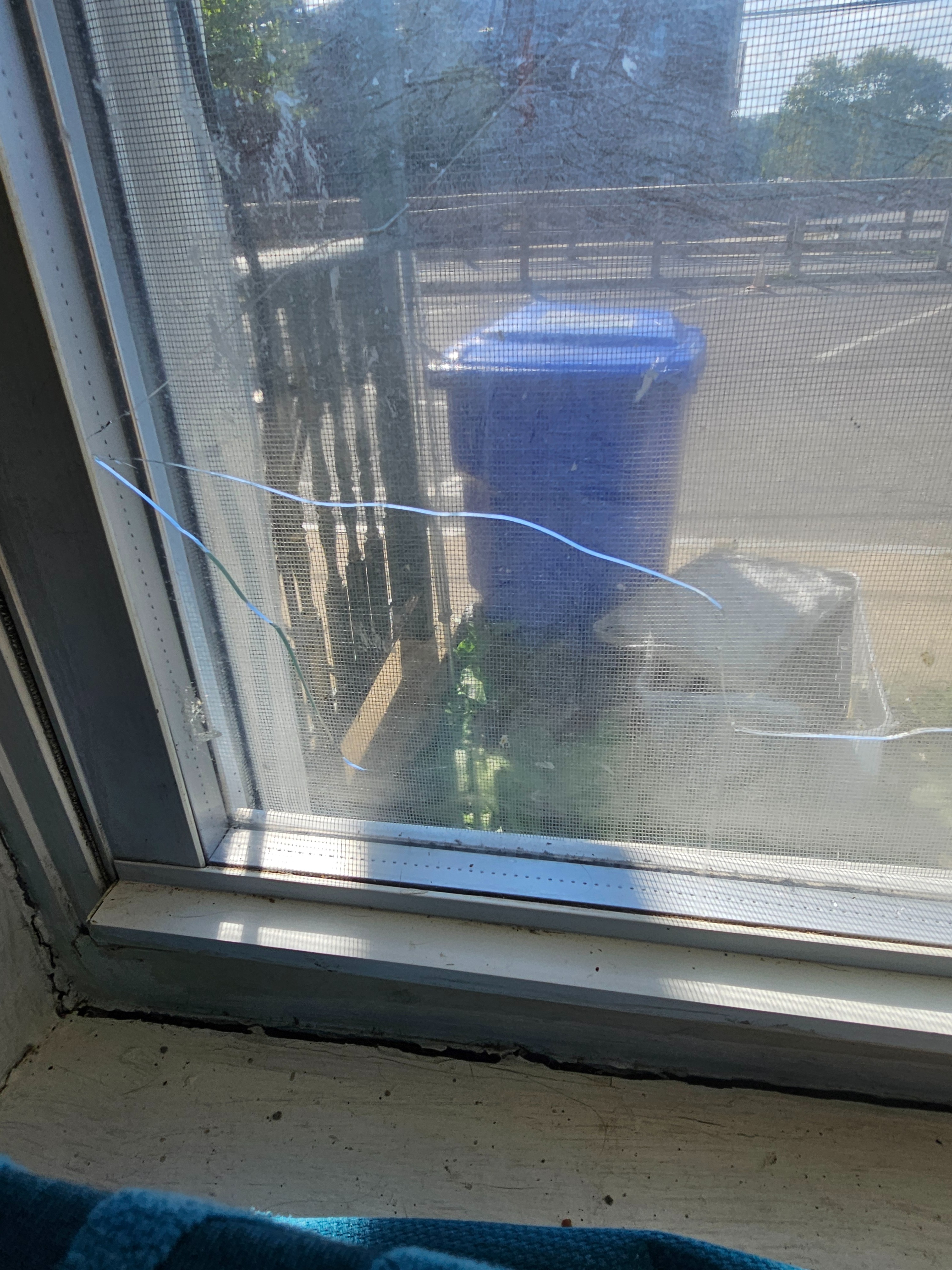 Fundraiser for Steven Hill by Candy Guzman : Help Candy Repair Her Home ...